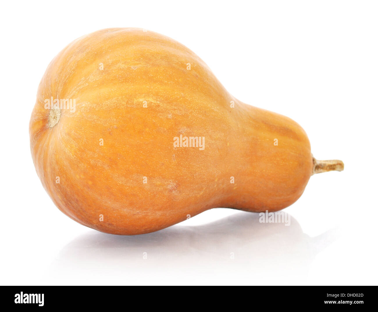 Mini pumpkins isolated on a white background with reflection Stock ...