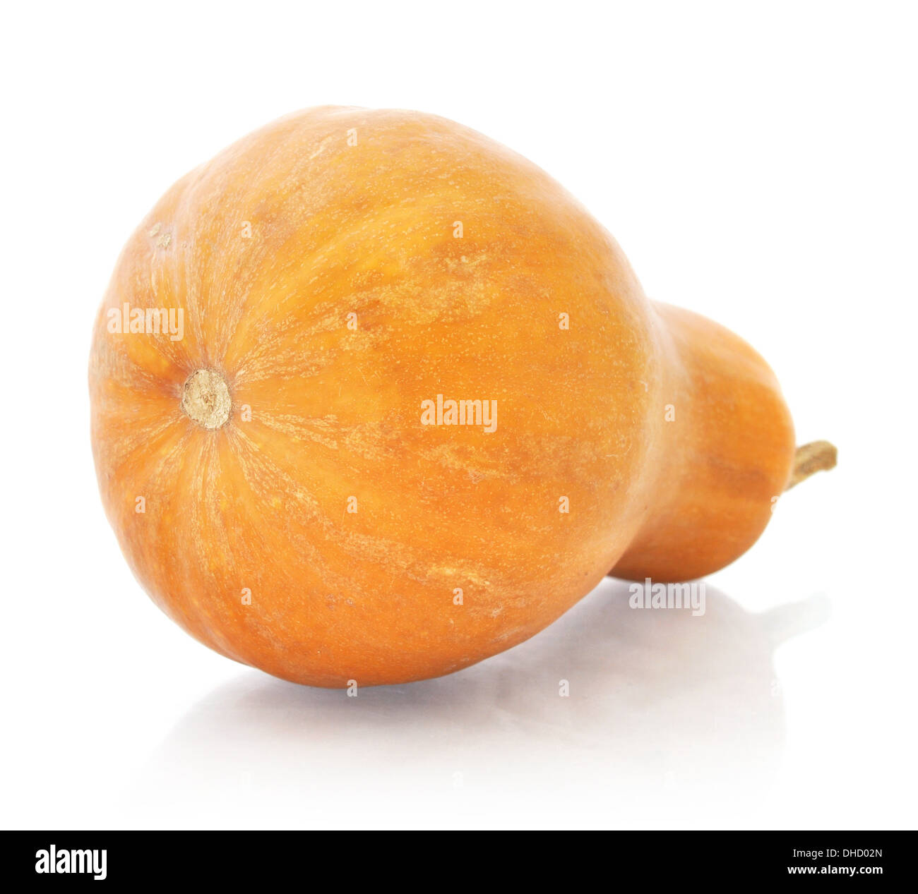Mini pumpkins isolated on a white background with reflection Stock ...