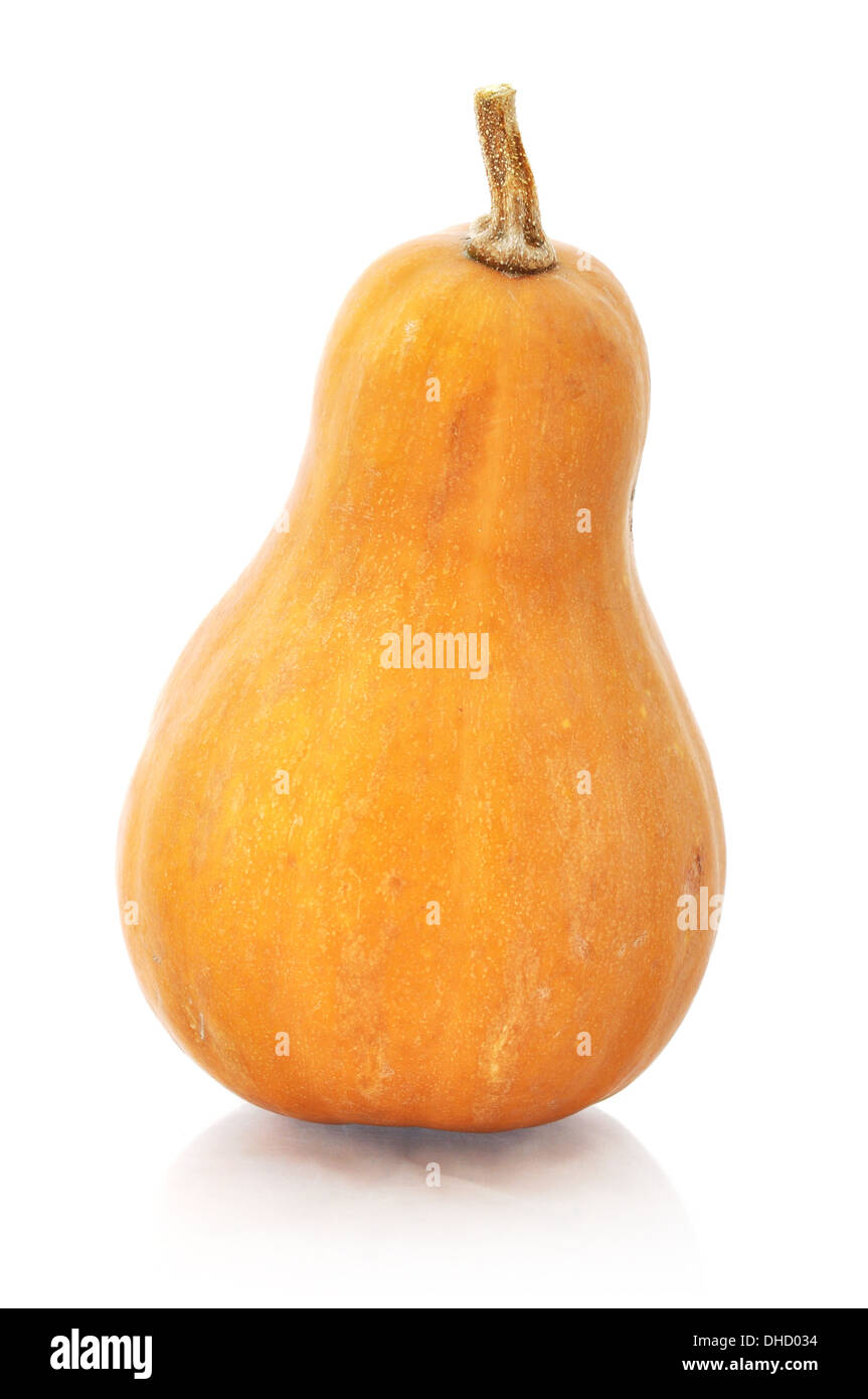 Mini pumpkins isolated on a white background with reflection Stock ...