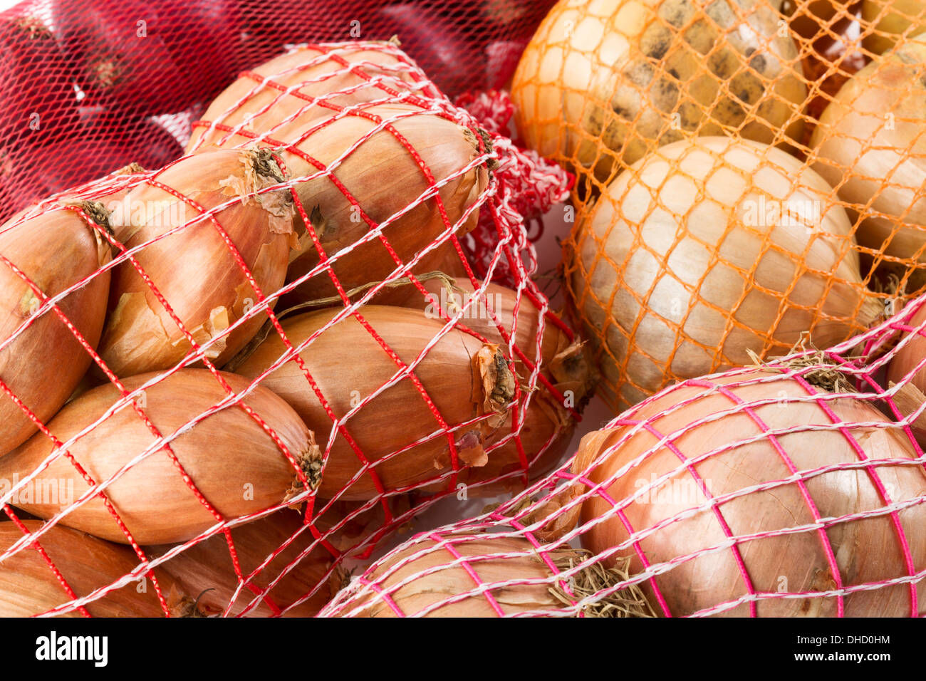 Allium cepa studio photography hi-res stock photography and images - Alamy