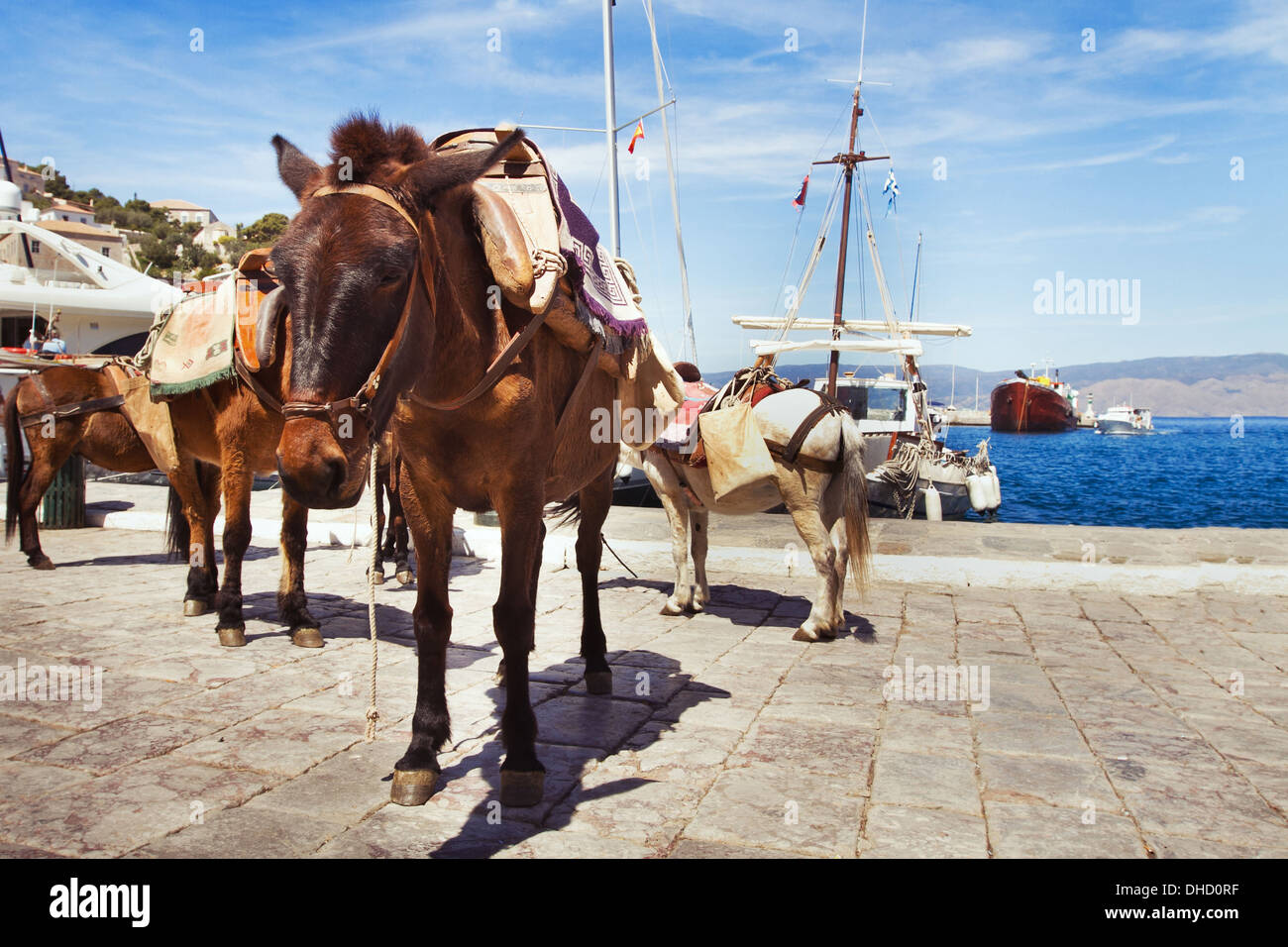 Hydra architecture hi-res stock photography and images - Alamy