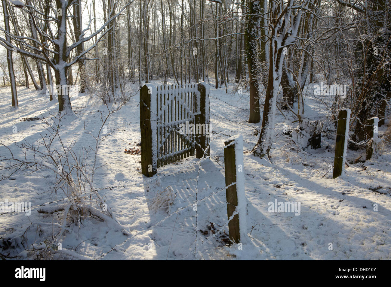 Surlingham norfolk hi-res stock photography and images - Alamy