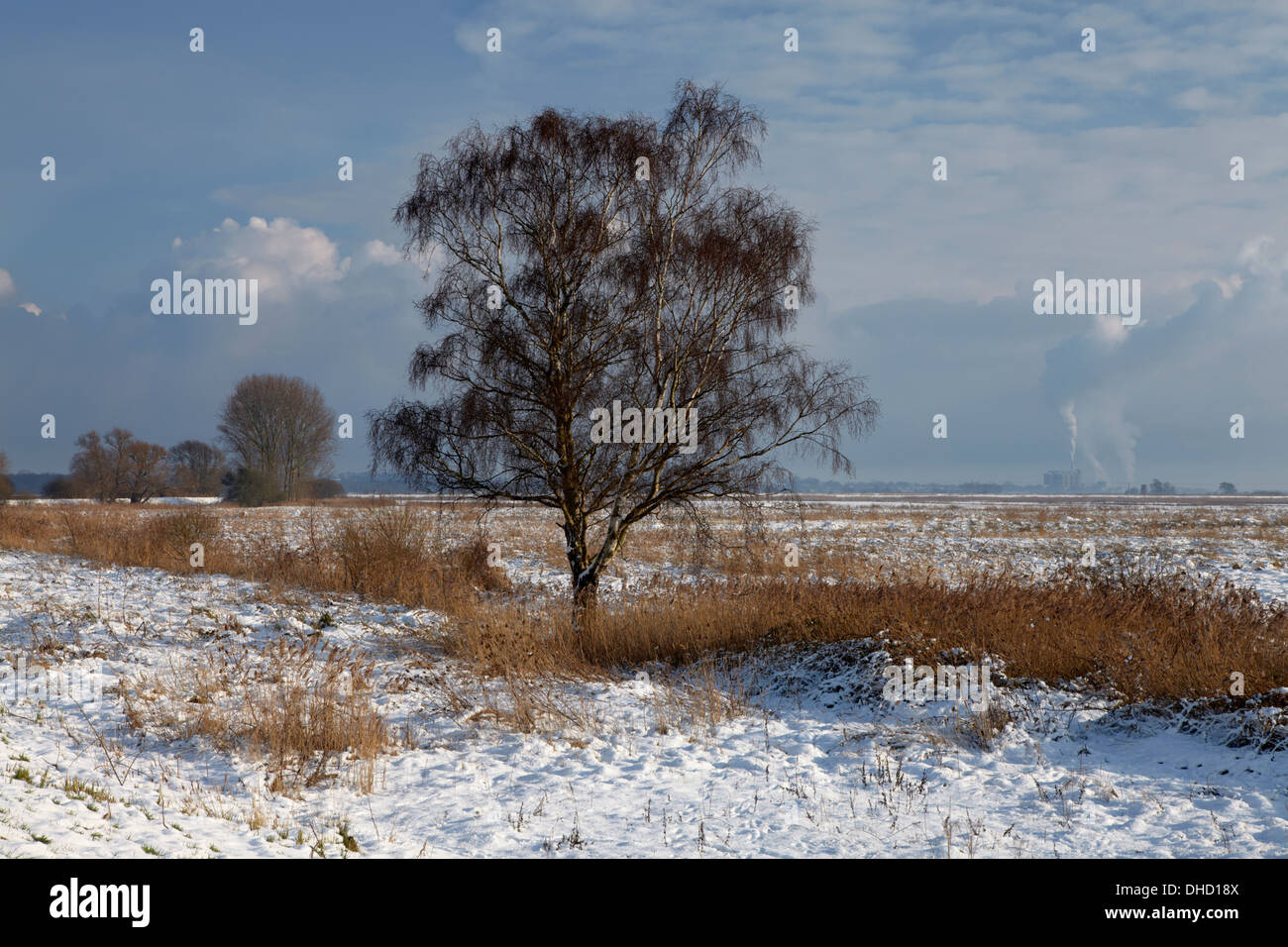 A winter scene in the Norfolk Broads near Rockland St Mary, Norfolk ...
