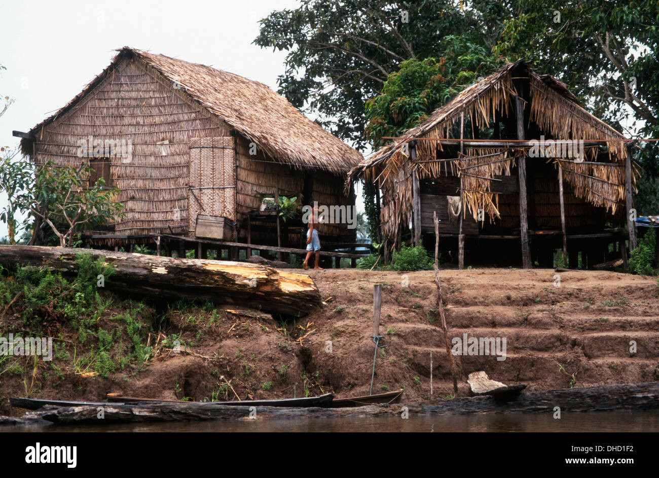 life along tapajos river, santarem, state of para, amazon region ...