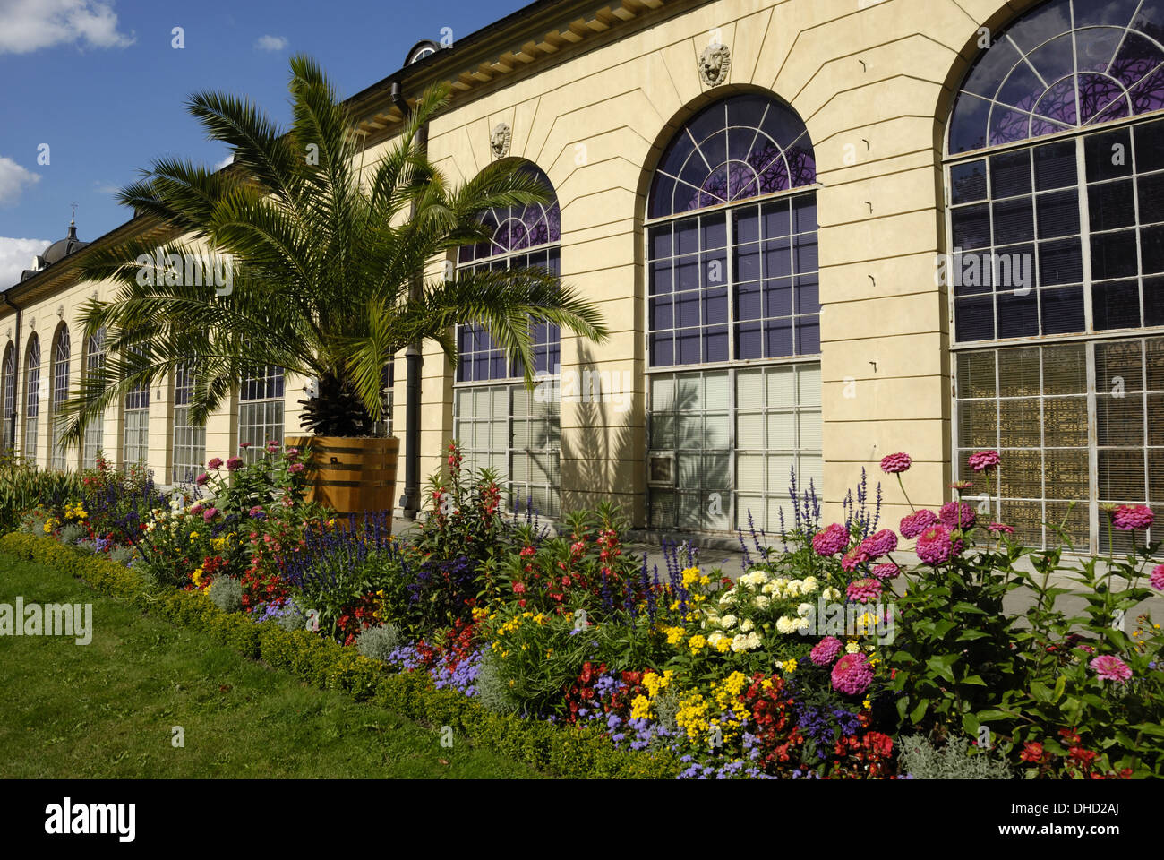 Palm tree warsaw poland hi-res stock photography and images - Alamy
