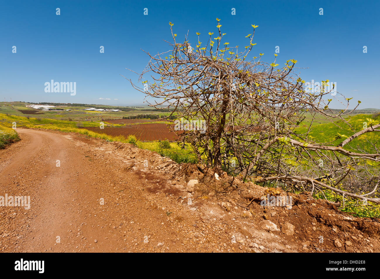 Road in Golan Stock Photo - Alamy