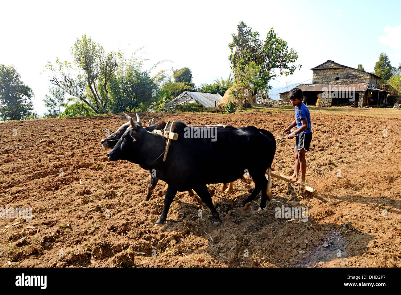 Plough the fields hi-res stock photography and images - Alamy