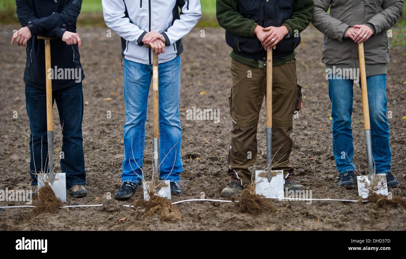 Chokeberry shrubs are symbolically planted by guests at the opening of ...