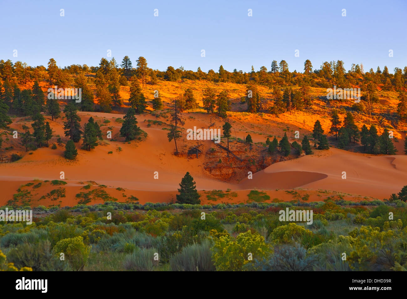 Coral pink sand state park hi-res stock photography and images - Alamy