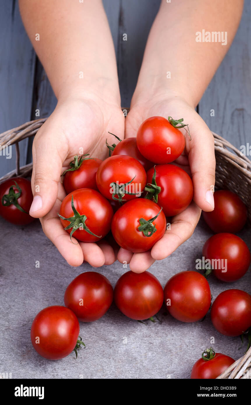 Hands with tomatoes Stock Photo - Alamy