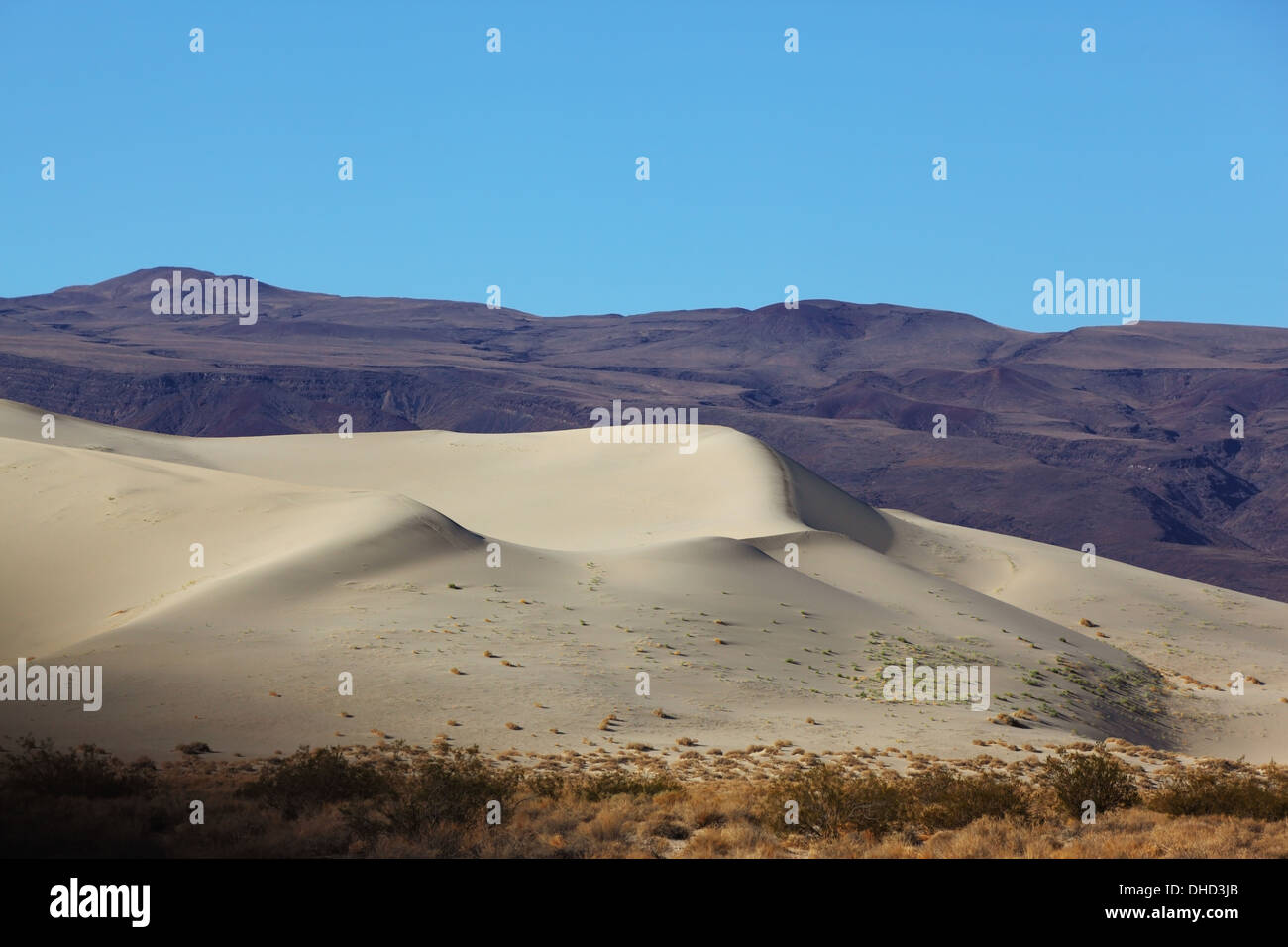 Light and shade natural beauty hi-res stock photography and images - Alamy