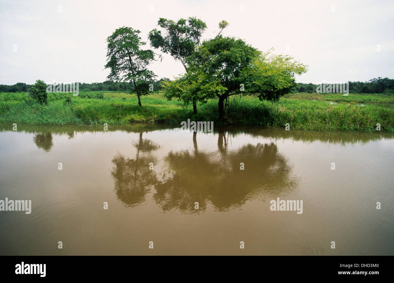 Amazonas river tapajos river santarem hi-res stock photography and ...