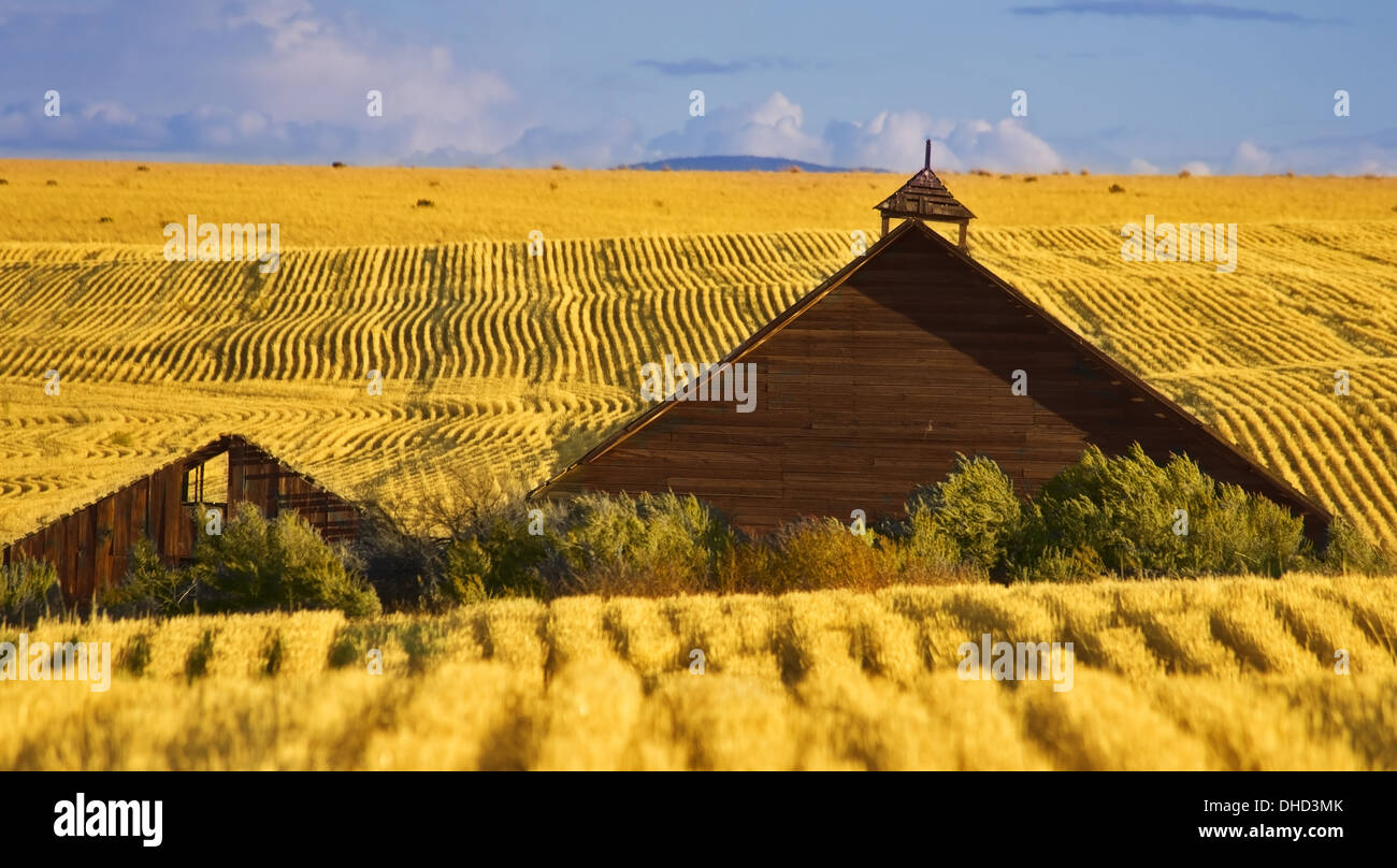 Charming rural farm after a rain Stock Photo - Alamy