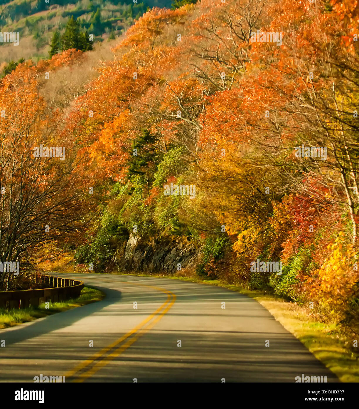 Footpath forest fall colors hi-res stock photography and images - Alamy