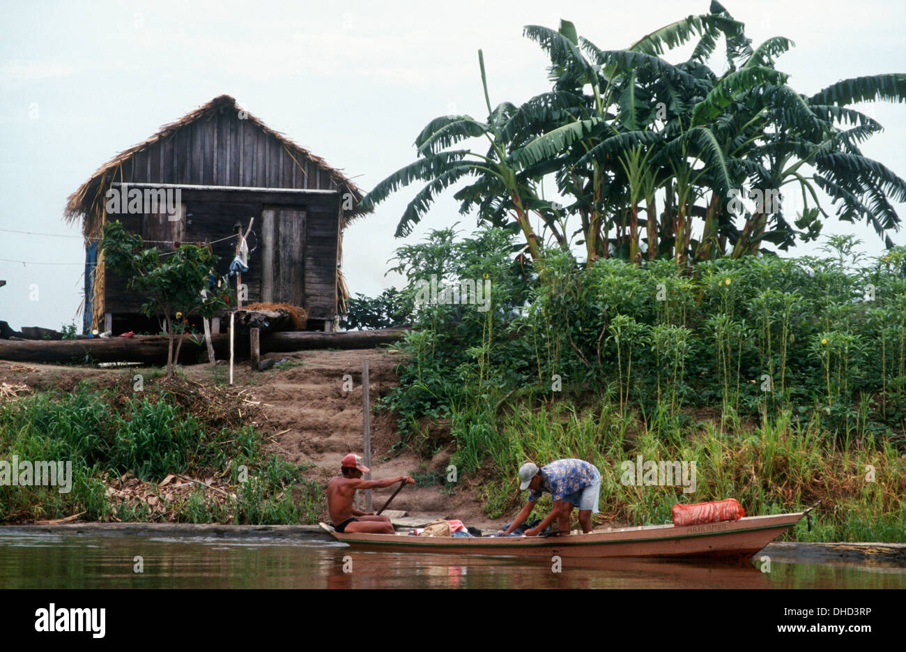 life along tapajos river, santarem, state of para, amazon region ...