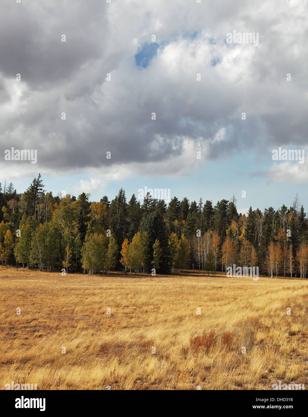 Autumn rim hi-res stock photography and images - Alamy
