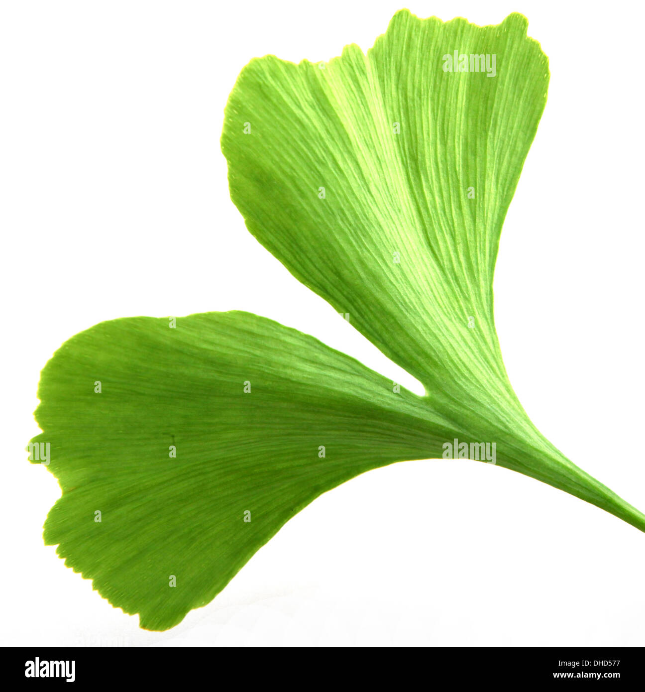 T healing Cut Out Stock Images & Pictures - Alamy