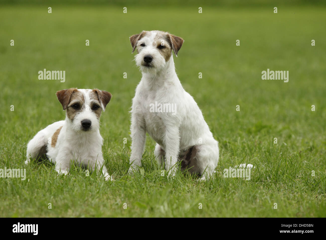 Two parson hi-res stock photography and images - Alamy