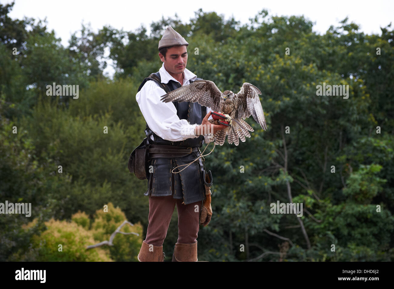 A Man in traditional falconers costume holding a bird of prey at Puy Du ...