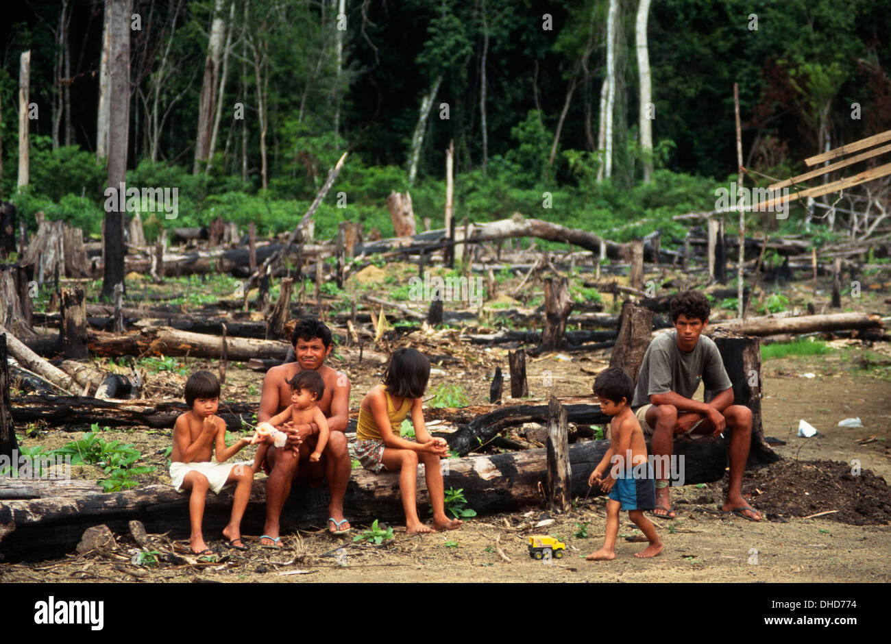 family in a deforested area, santarem, state of para, amazon region ...