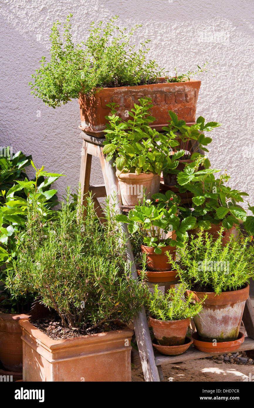 Herb garden germany hi-res stock photography and images - Alamy