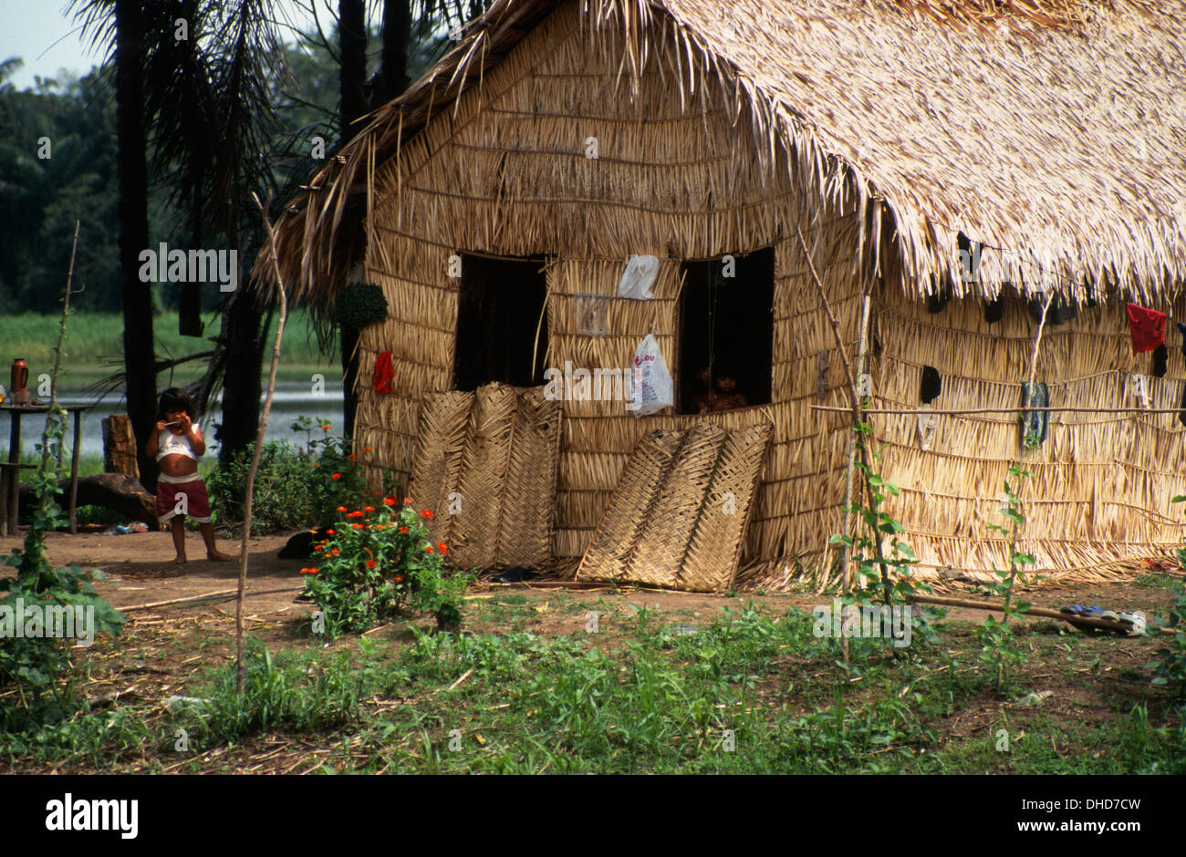 life along tapajos river, santarem, state of para, amazon region ...