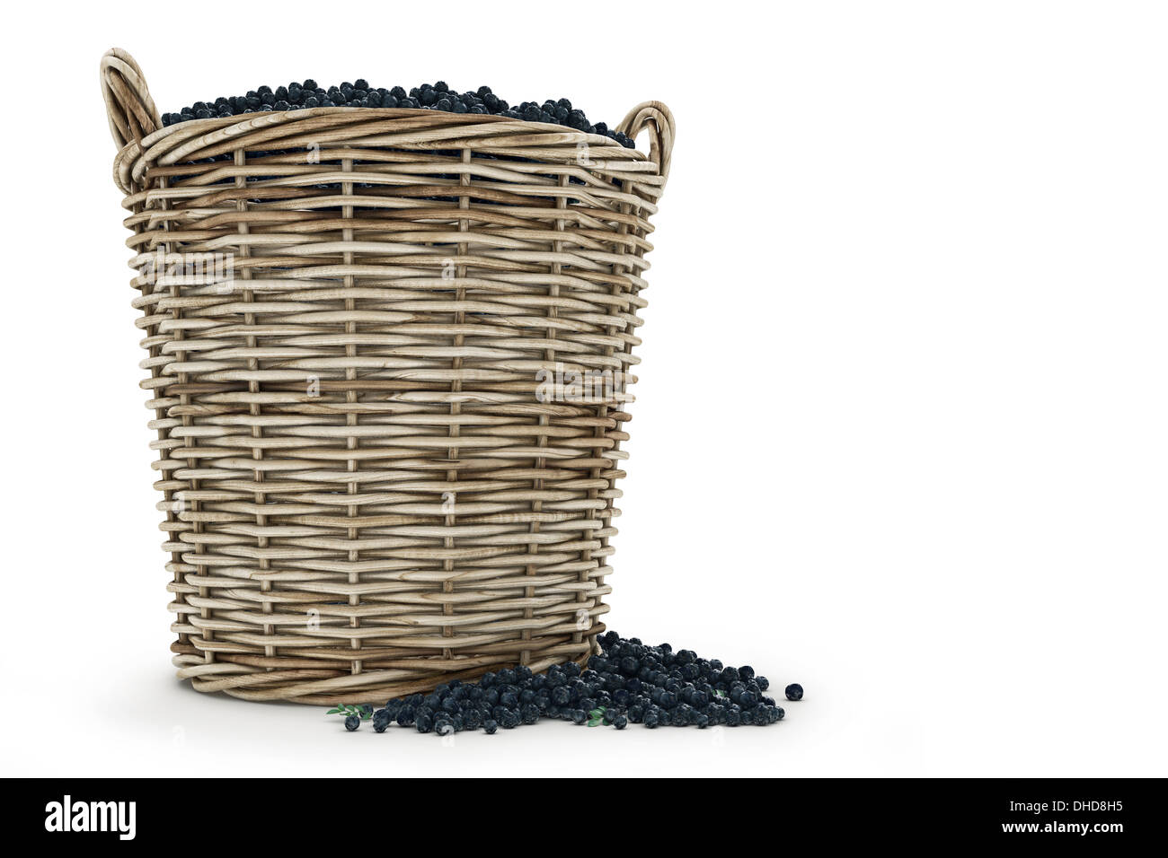 The amazon acai fruit Stock Photo - Alamy