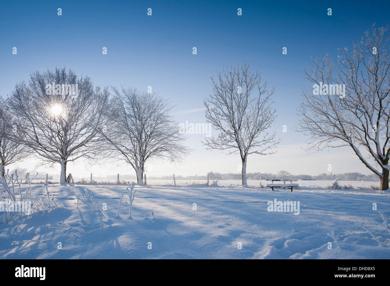 Deserted frozen landscape hi-res stock photography and images - Alamy