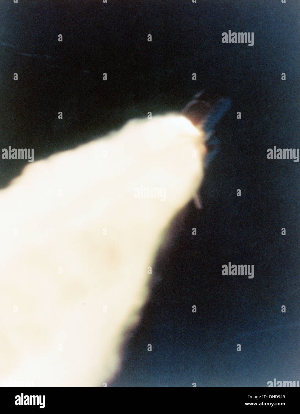 Space Shuttle Challenger Lifts Off Stock Photo - Alamy