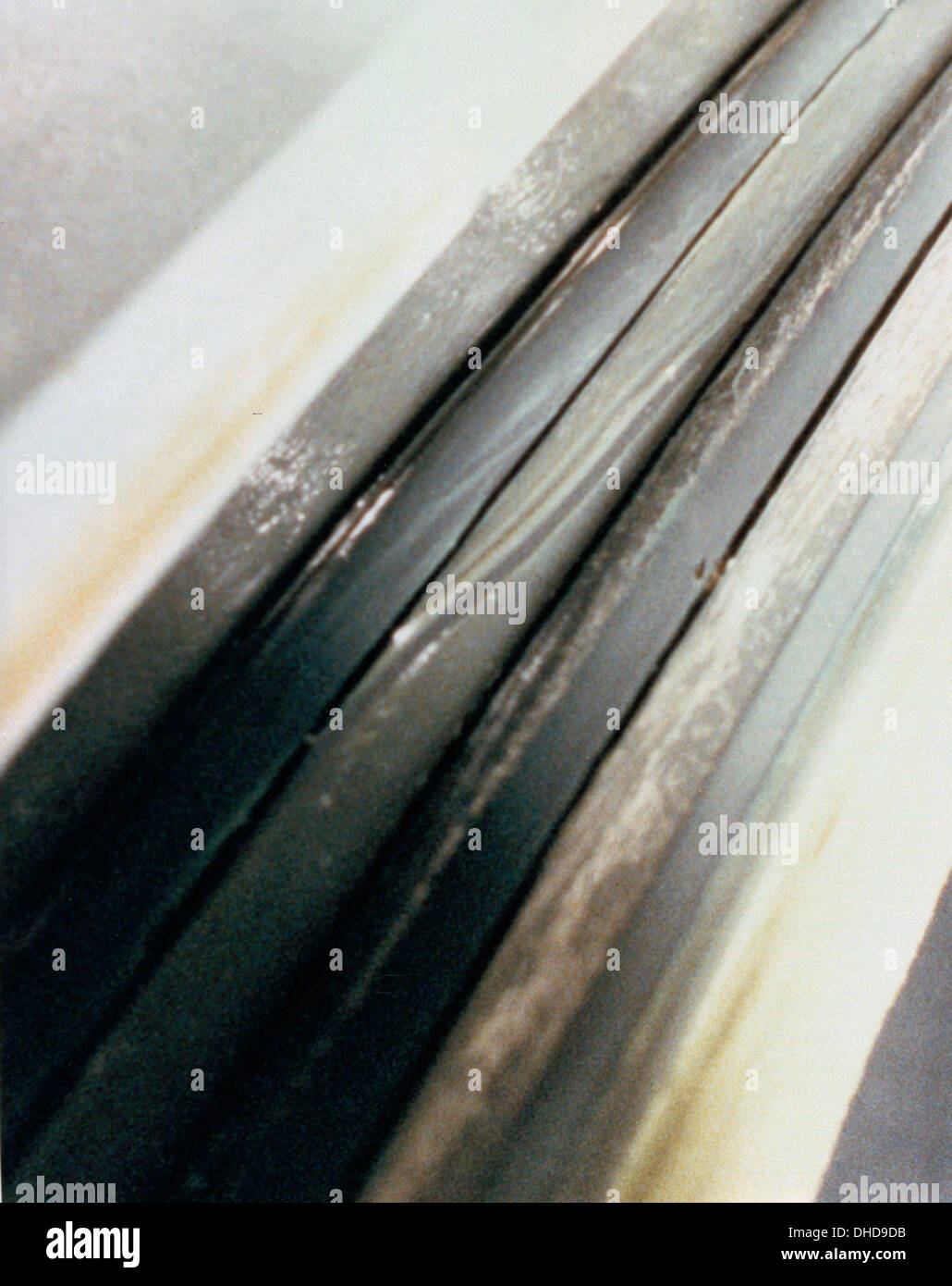 This photograph shows the O-ring in the aft segment of the Challenger’s ...