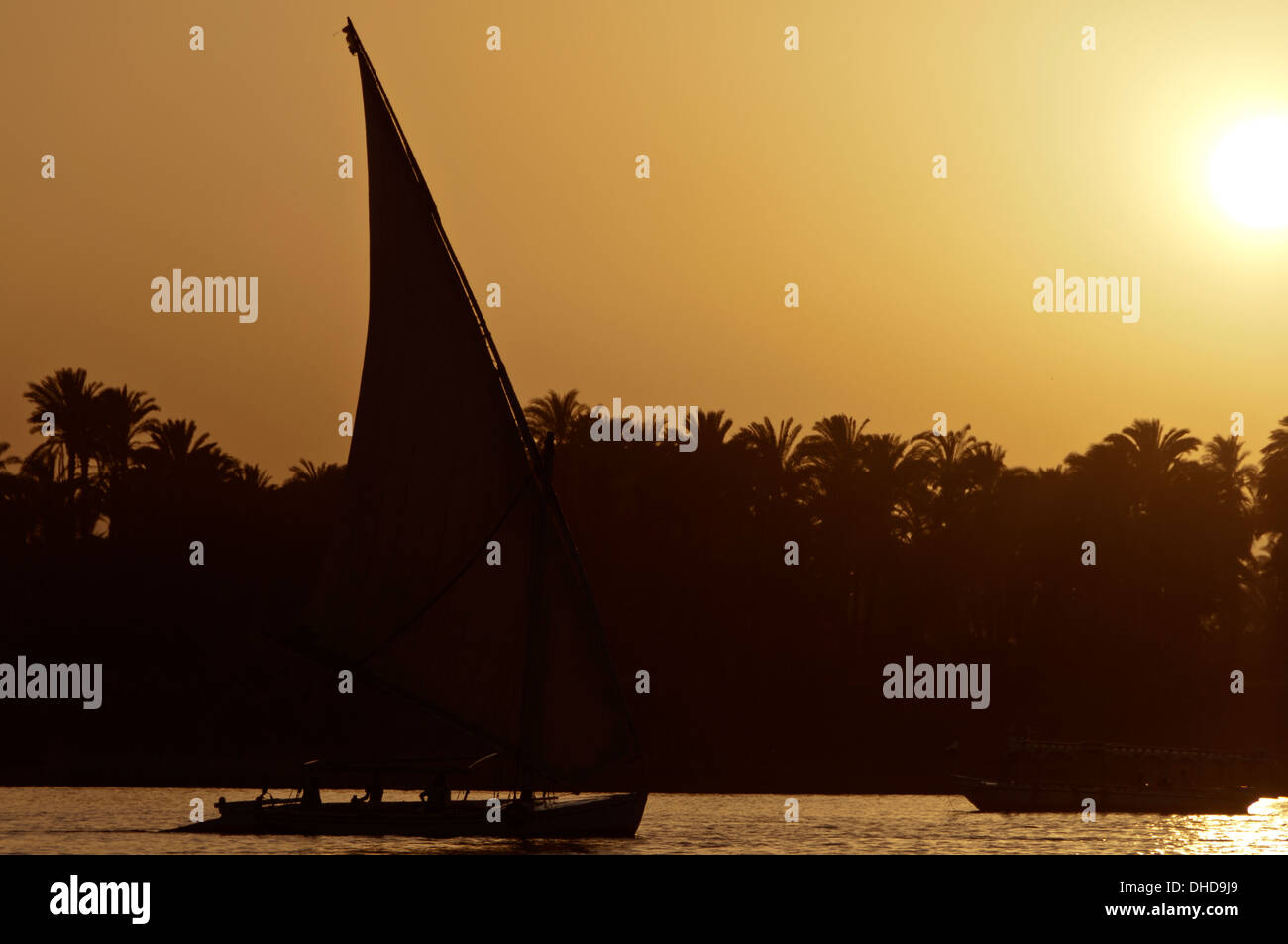 Feluccas on the River Nile Stock Photo - Alamy