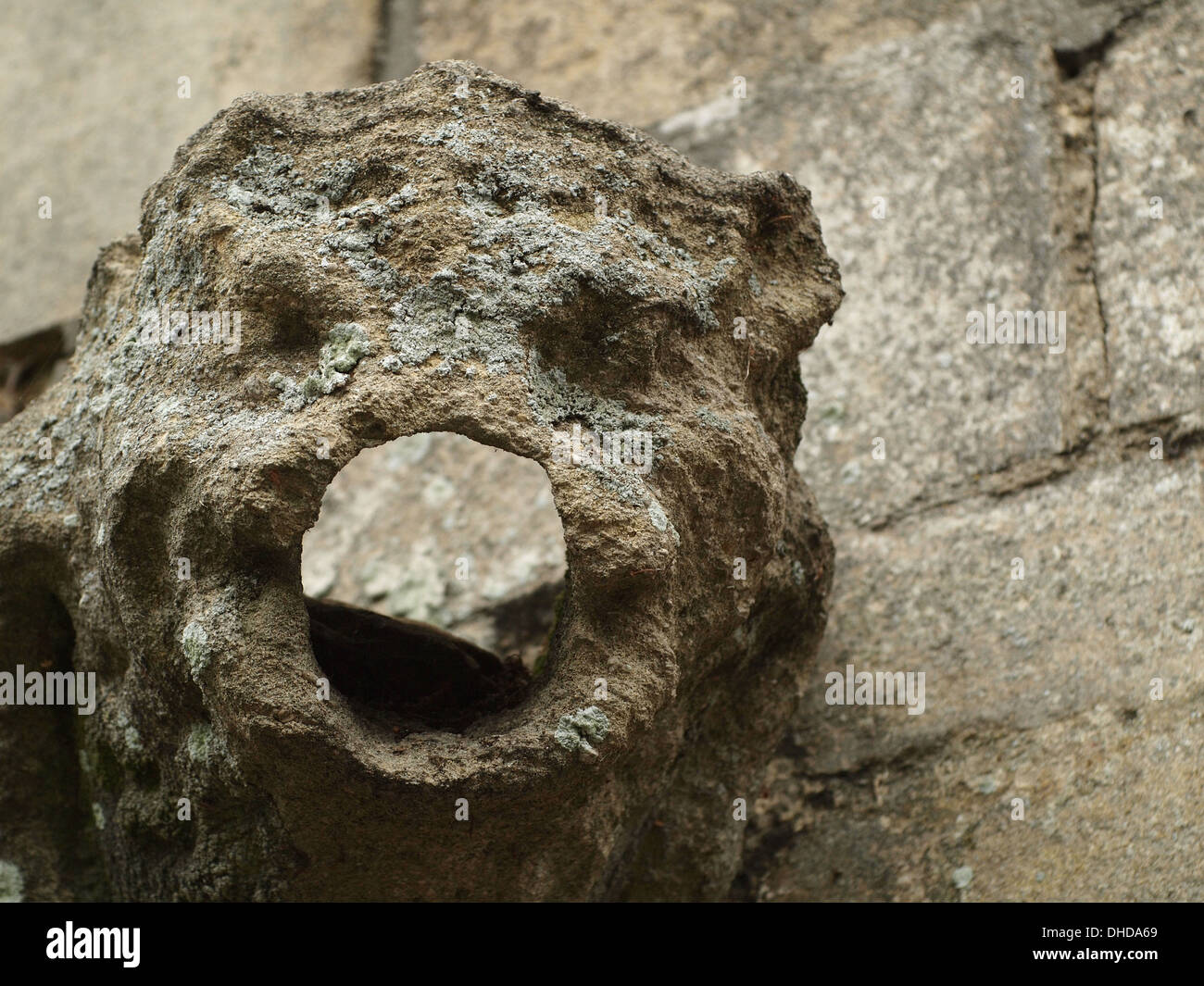 Ancient grotesque gargoyle at Ely Cathedral Stock Photo - Alamy