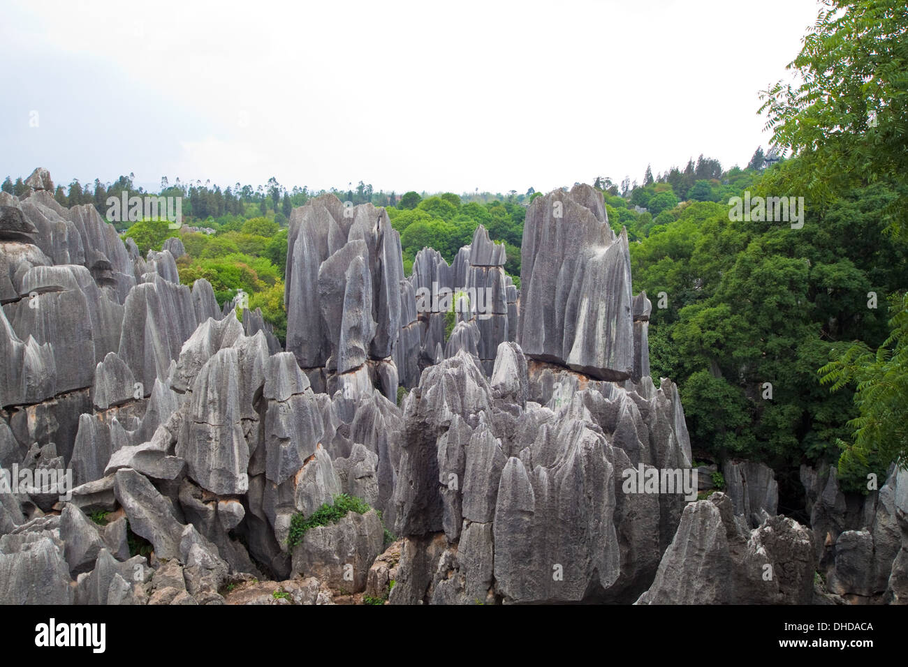 Beautiful limestone formation at Kunming Stone forest or Shilin, a ...