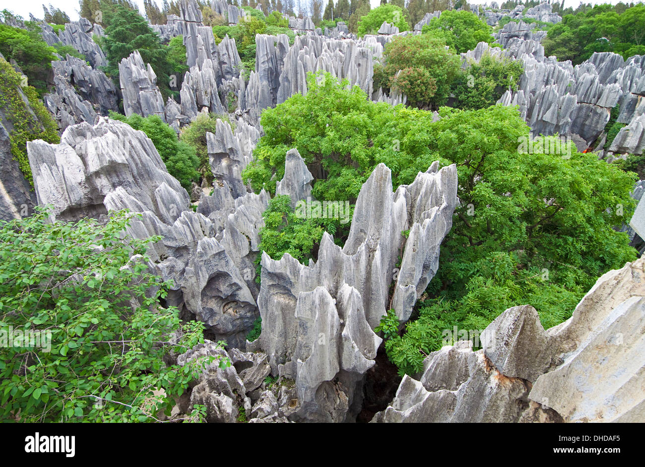 Beautiful limestone formation at Kunming Stone forest or Shilin, a ...