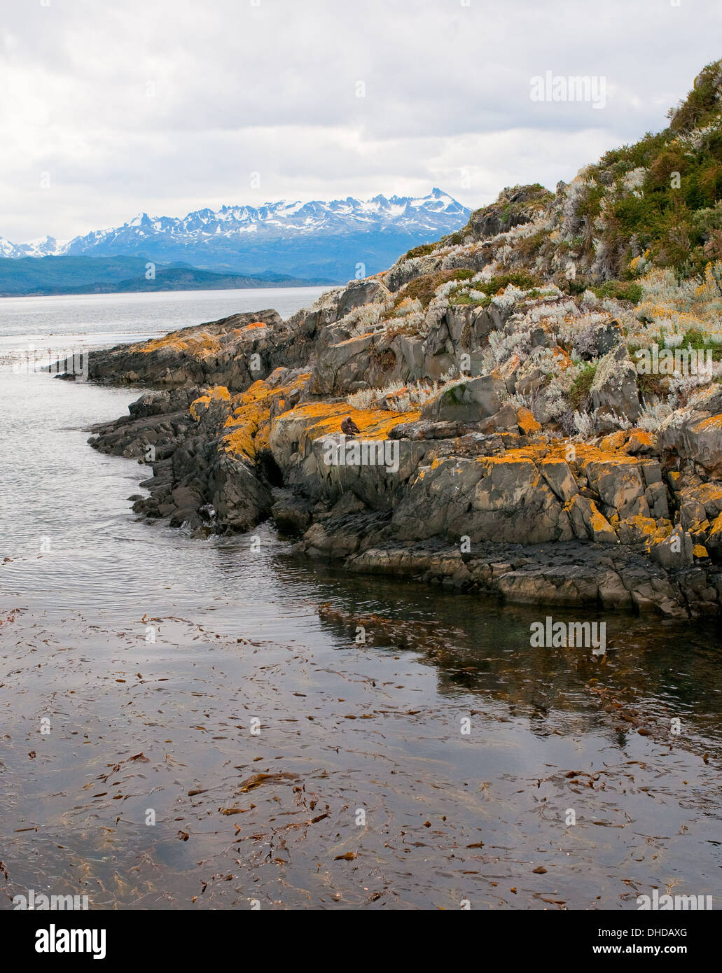 Beagle channel ushuaia land hi-res stock photography and images - Alamy