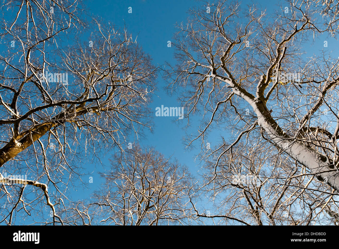A snow scene in England Stock Photo - Alamy