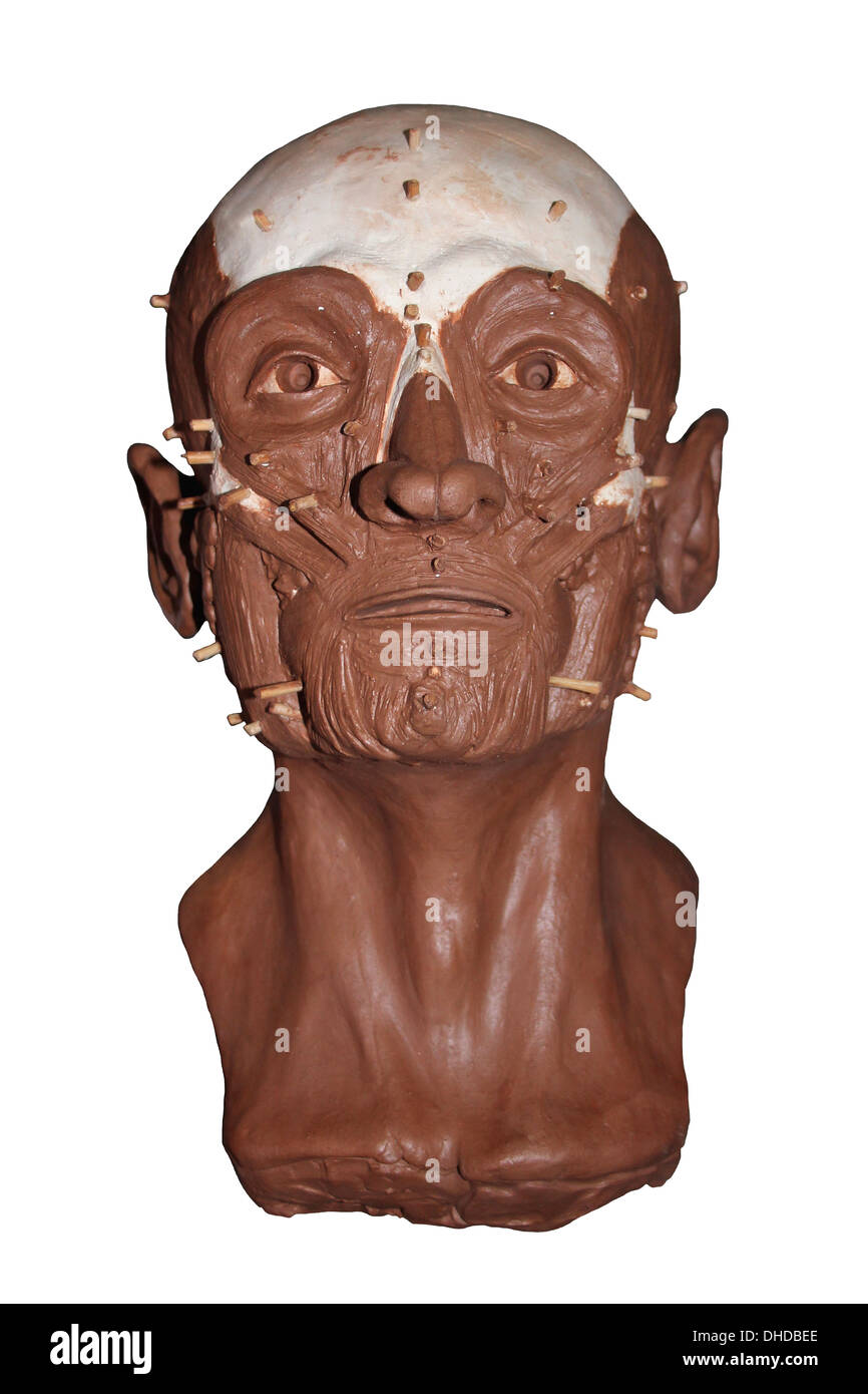 Teaching visual aids Cut Out Stock Images & Pictures - Alamy