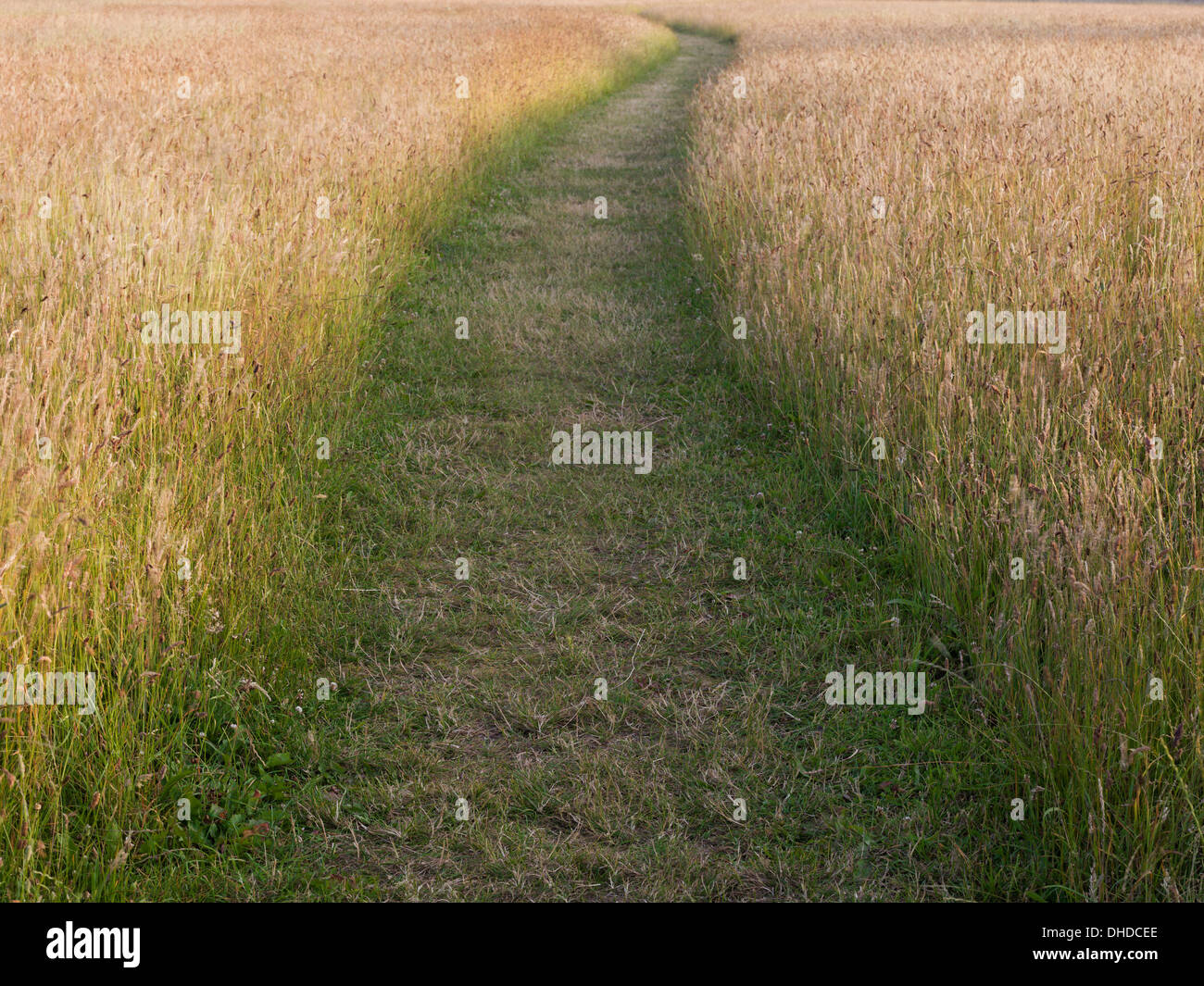 Burgh castle norfolk hi-res stock photography and images - Alamy