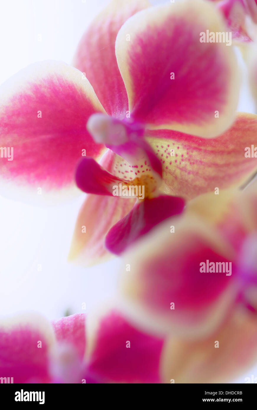 Impression artistic hi-res stock photography and images - Alamy