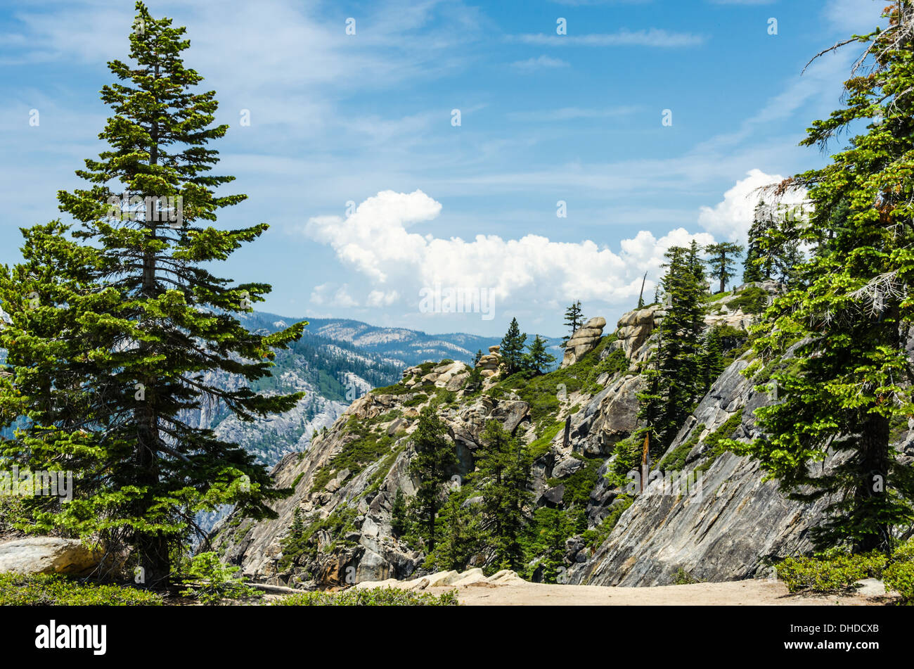 Pine trees, granite cliffs, and thunderlcouds photographed from Taft ...