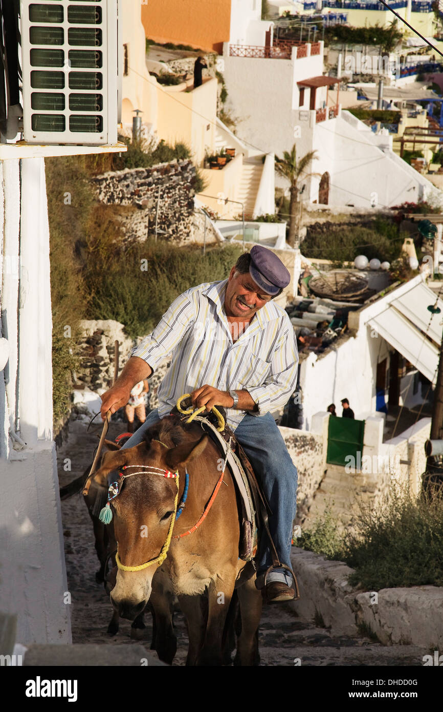 Man riding a mule hi-res stock photography and images - Alamy