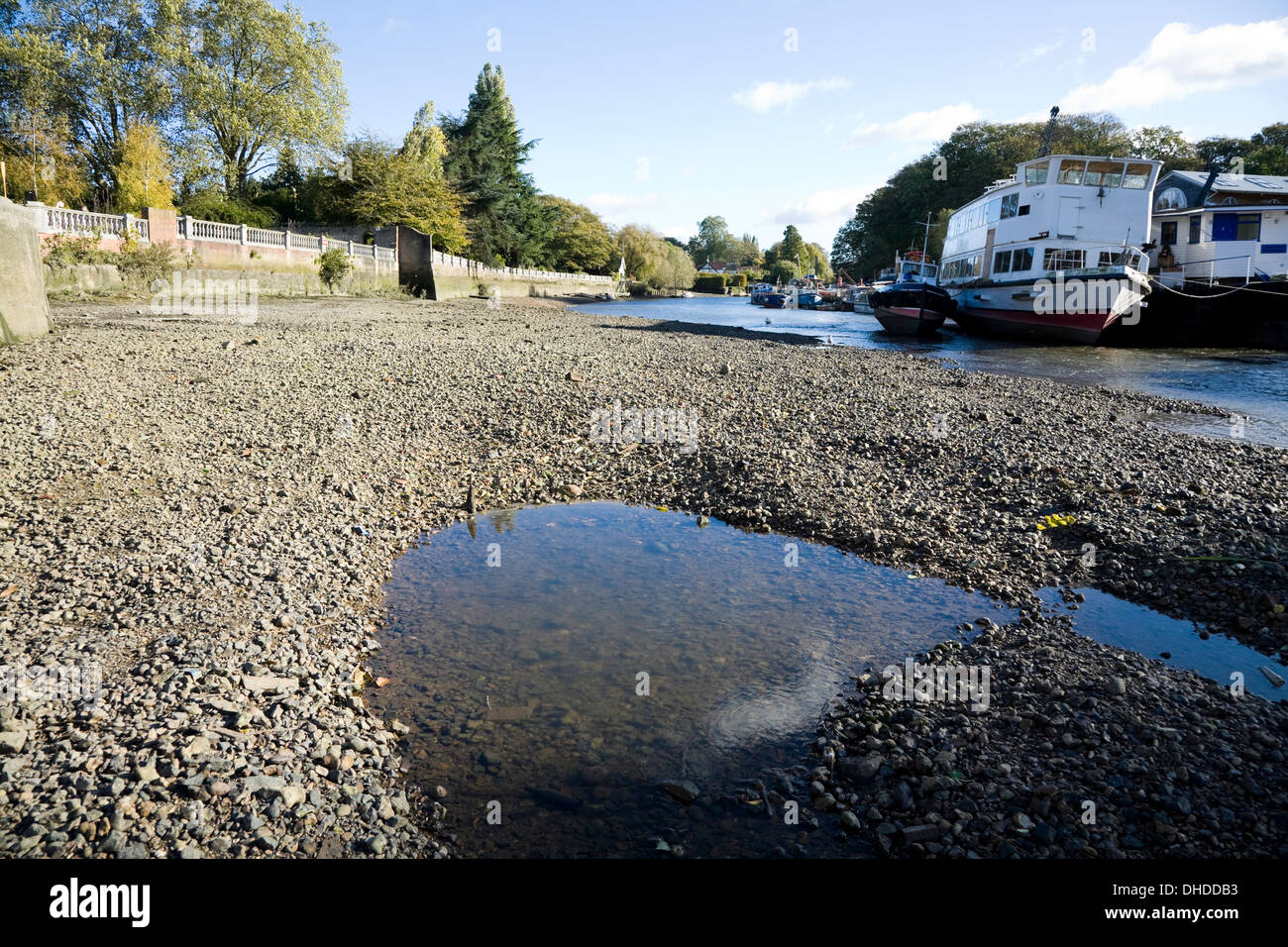 River Thames, Twickenham riverside. The exposed beach / riverbank / bed ...