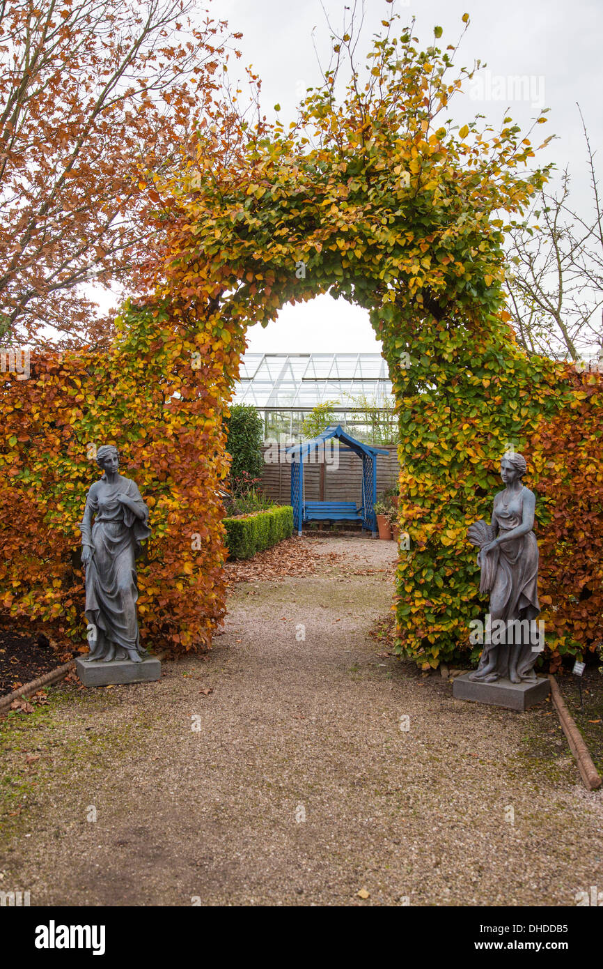 Beech hedge planting hi-res stock photography and images - Alamy