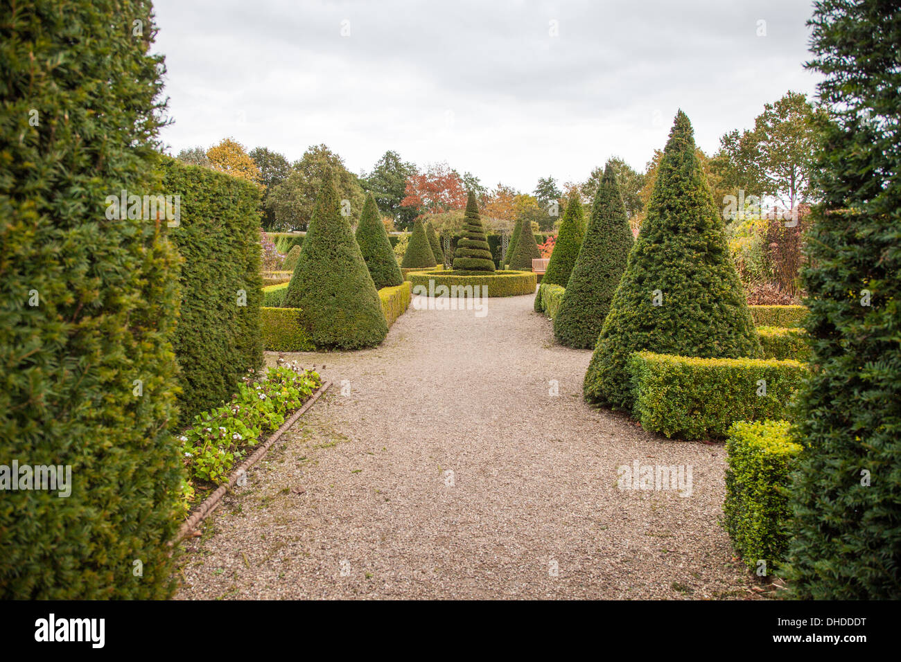 Box hedges and Yew trees in The gardens at Bridgemere Nursery and ...