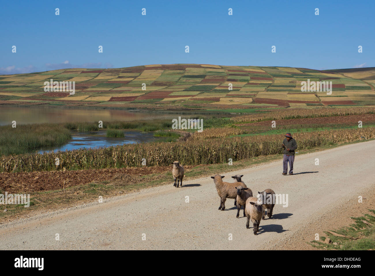 Checkerboard landscape hi-res stock photography and images - Alamy