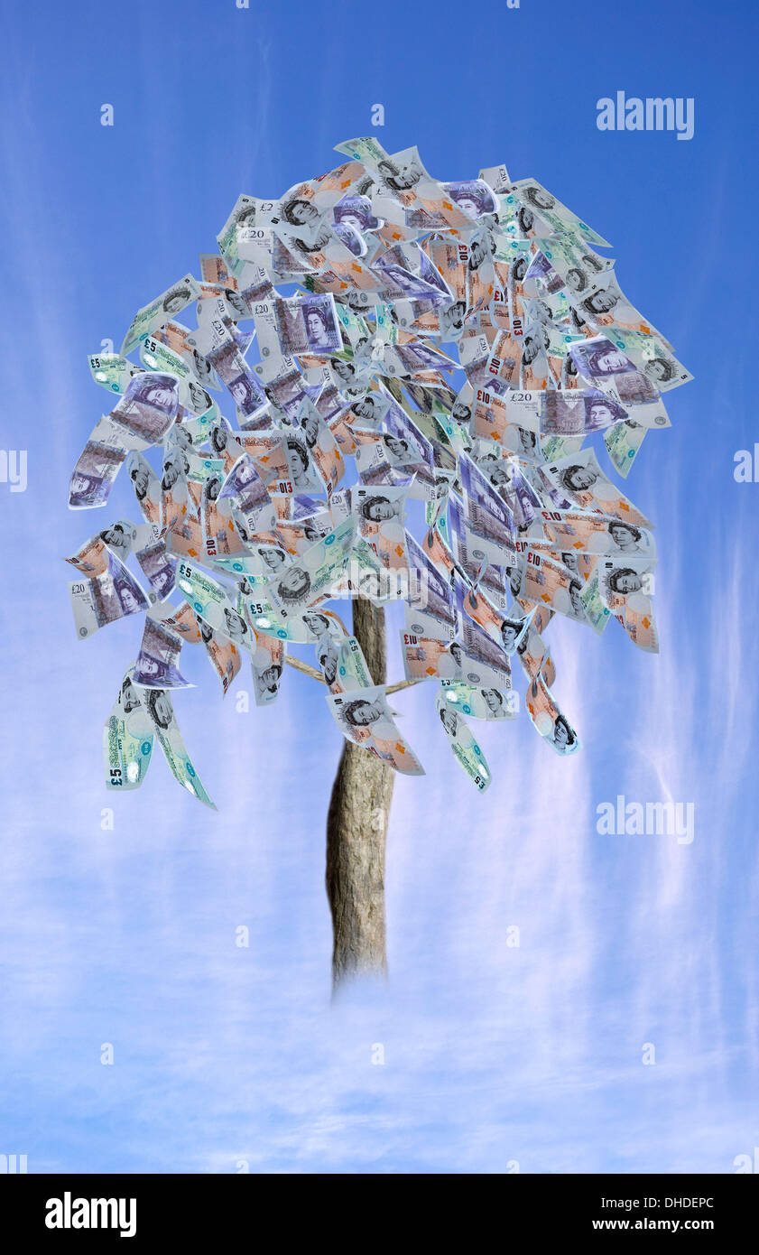 Money tree hi-res stock photography and images - Alamy