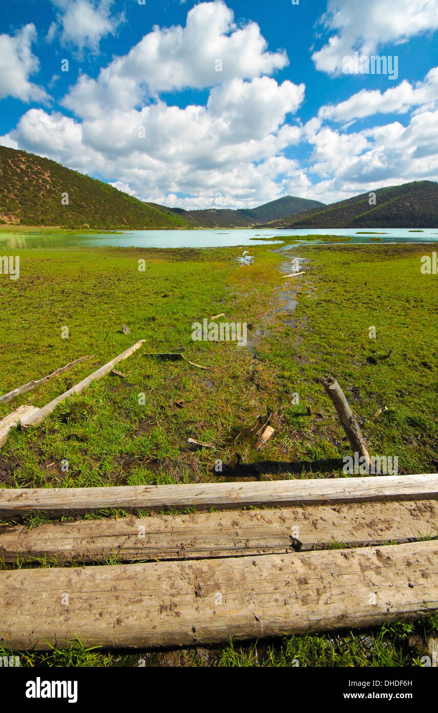 Wetand plain of Shudu Lake of Pudacuo National Park at Shangri-la ...