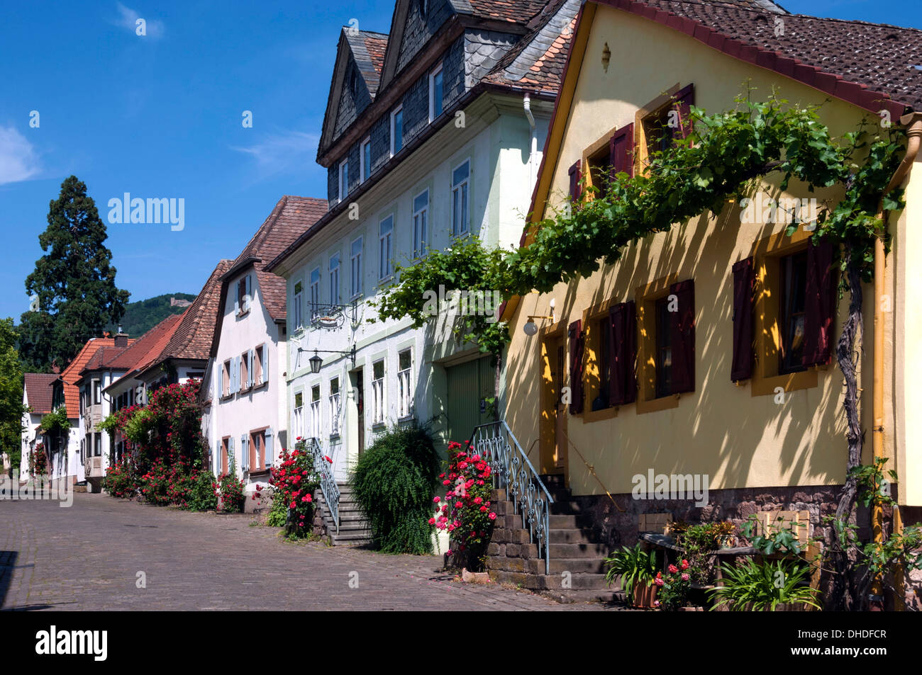 Houses along the cobbled street in Rhodt unter Rietburg, Sudliche ...