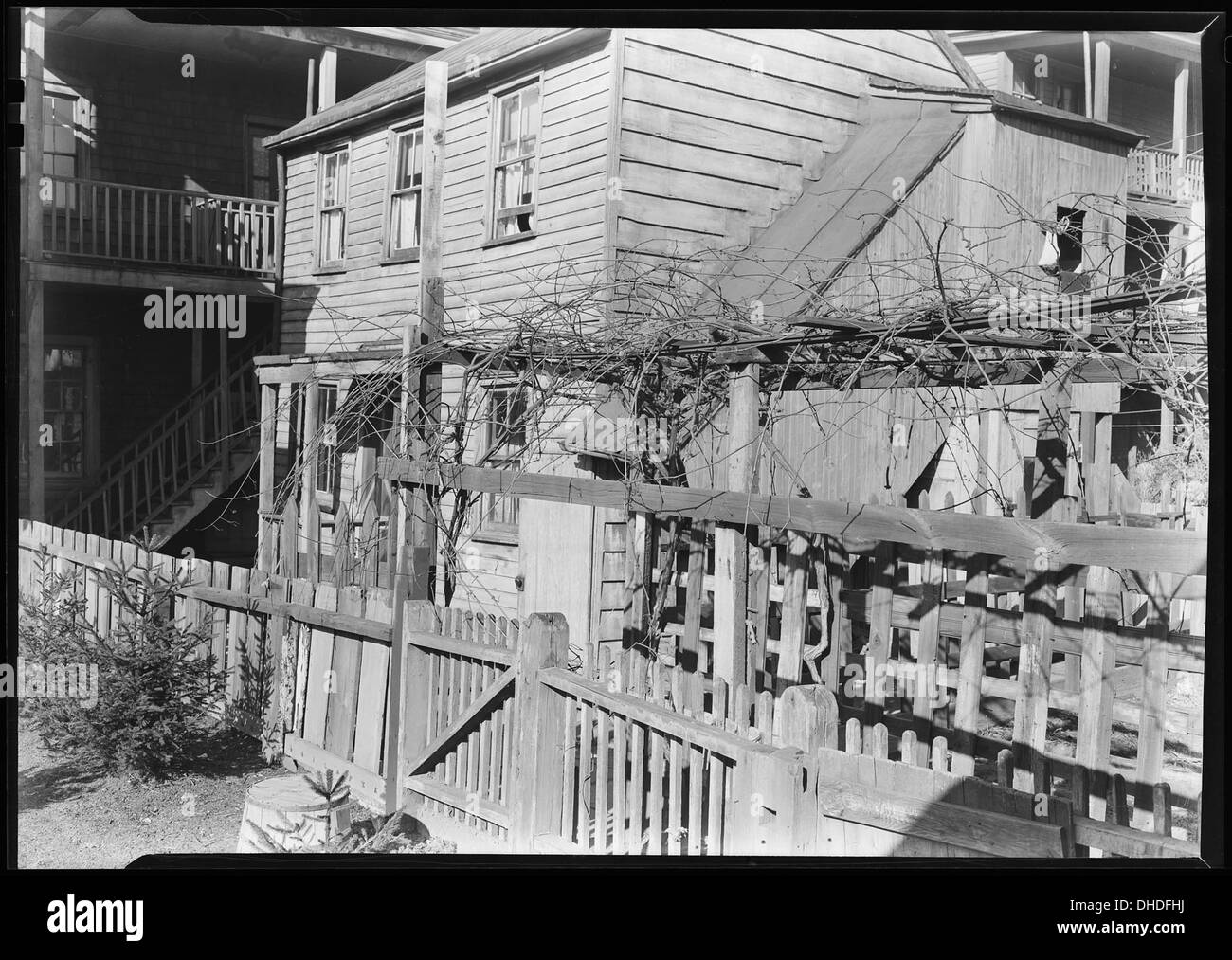 This photograph shows a rear tenement on Summer Street in Paterson, New ...