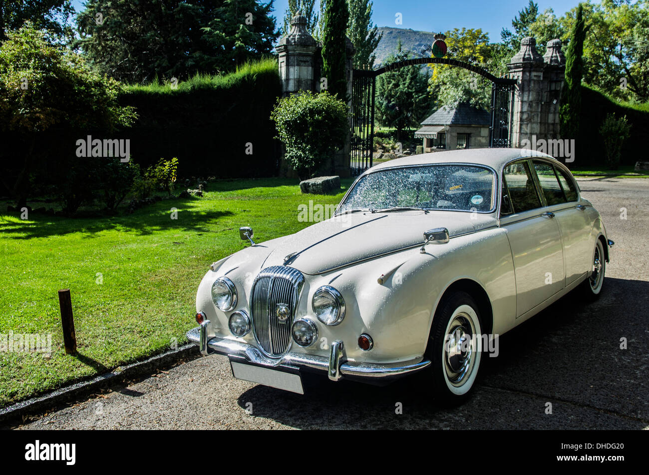 Old daimler hi-res stock photography and images - Alamy